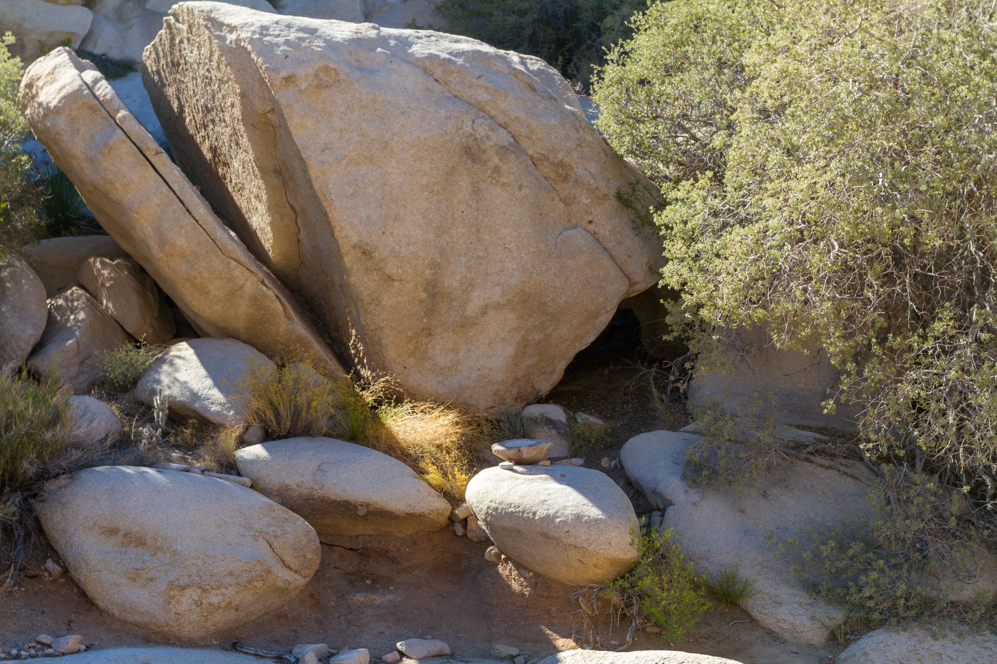 Ram on Rocks Pictographs
