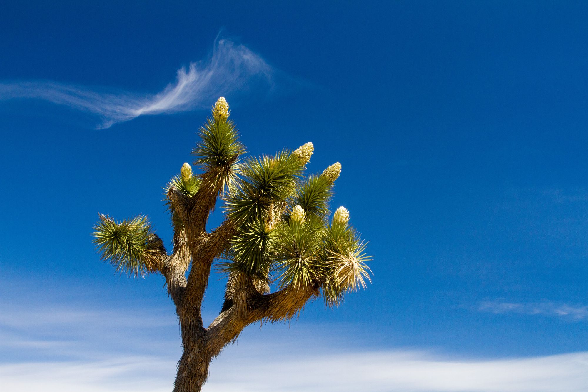 Respecting Resources